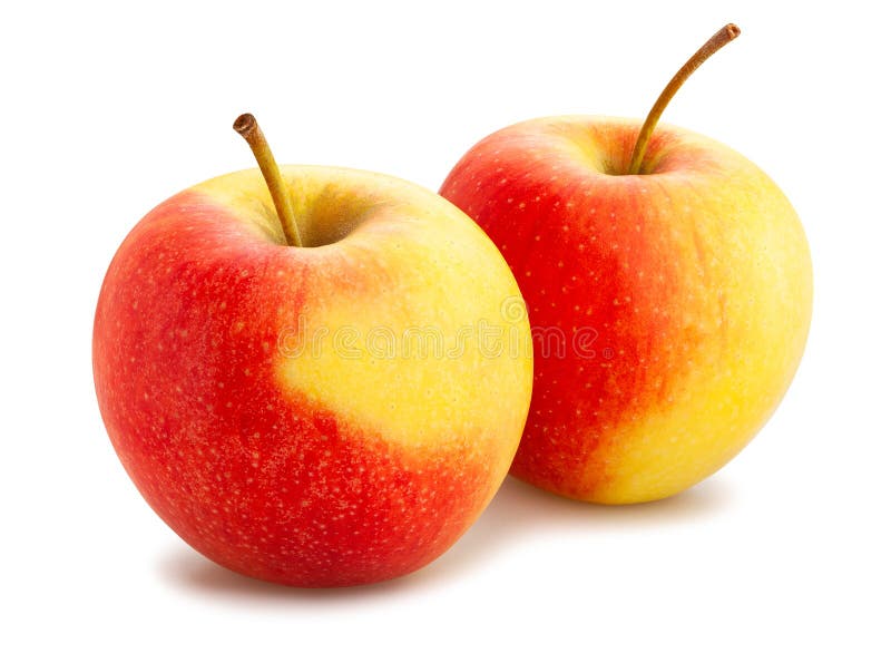 Red yellow apple stock photo. Image of studio, cutout - 149326692