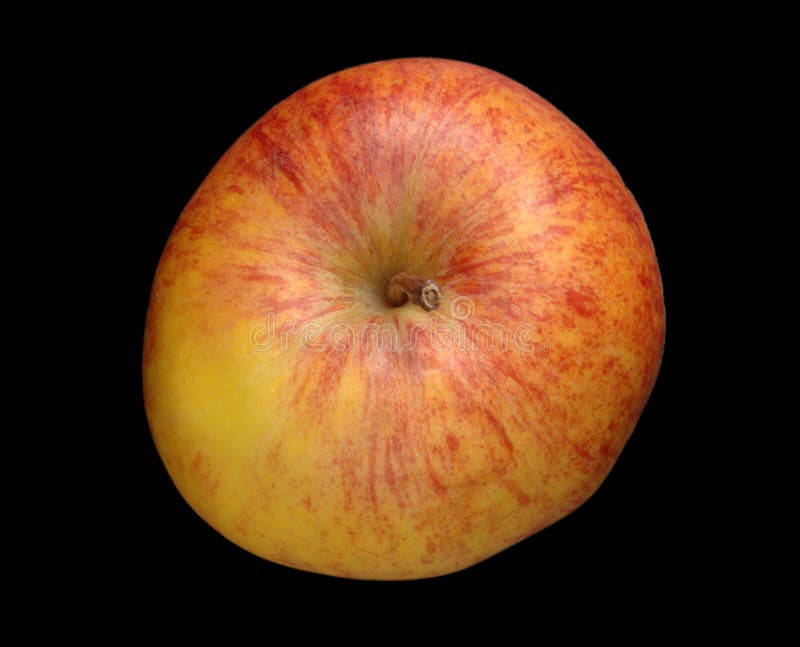 Red and Yellow Apple Top View Stock Image - Image of lunch, fruit: 182831