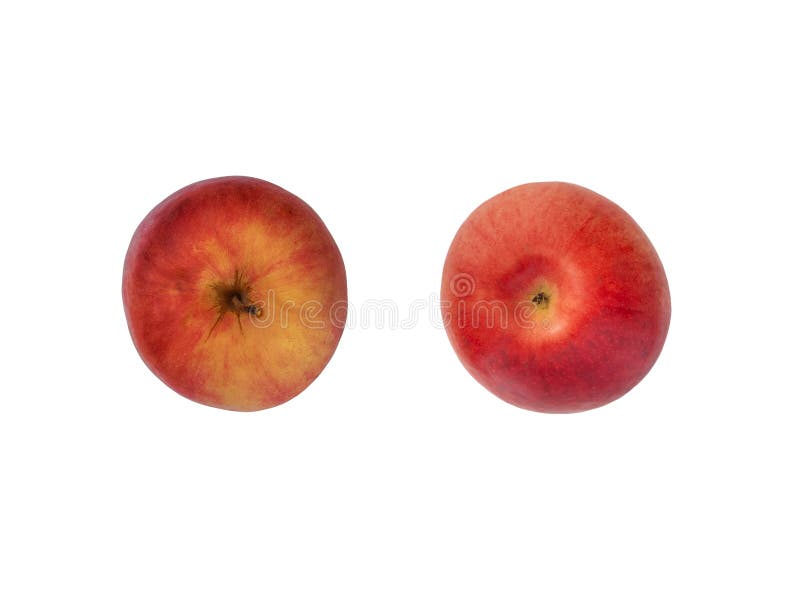 Yellow Apple Bottom View Stock Photos - Free & Royalty-Free Stock ...