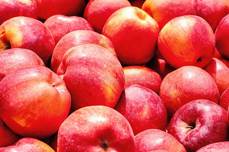 Red, Yellow Apples in Large Quantities As a Background Stock Image ...