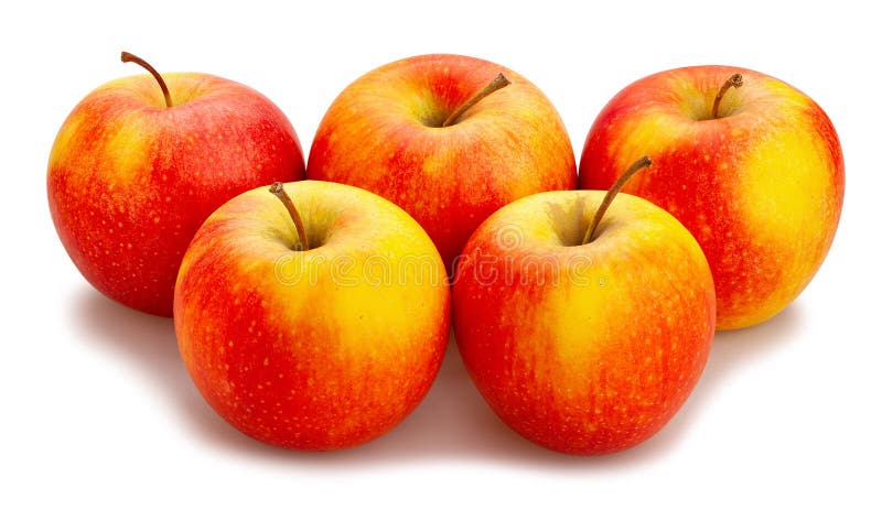 Red yellow apples stock photo. Image of group, background - 160307860 Red yellow apples stock photo. Image of group, background - 160307860