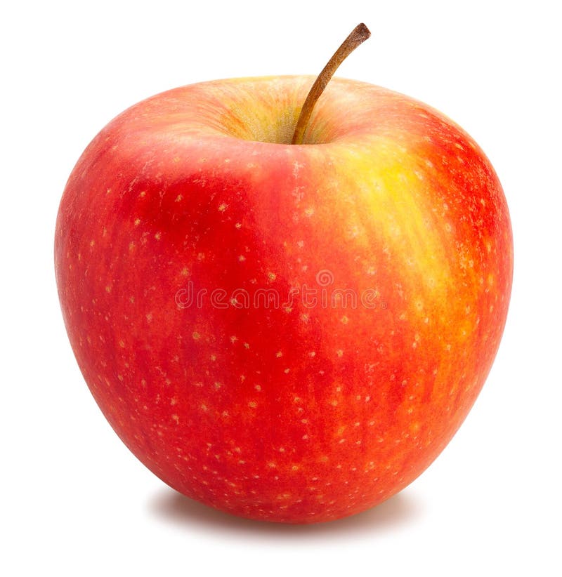 Red yellow apples stock photo. Image of path, fresh - 160307868 Red yellow apples stock photo. Image of path, fresh - 160307868