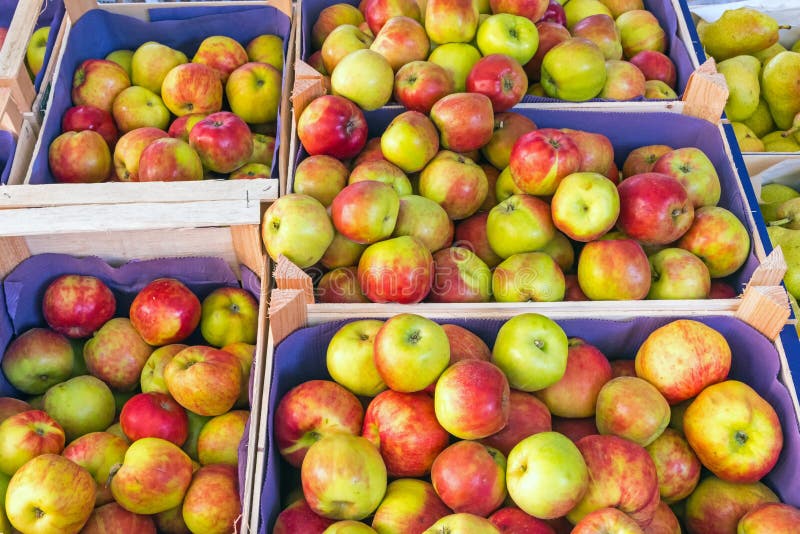 Apples on Sale stock image. Image of fruit, sale, sweet - 63821857