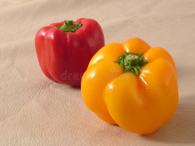 Yellow and Red Capsicum Annuum Plant with Bell Peppers Ripe on the ...