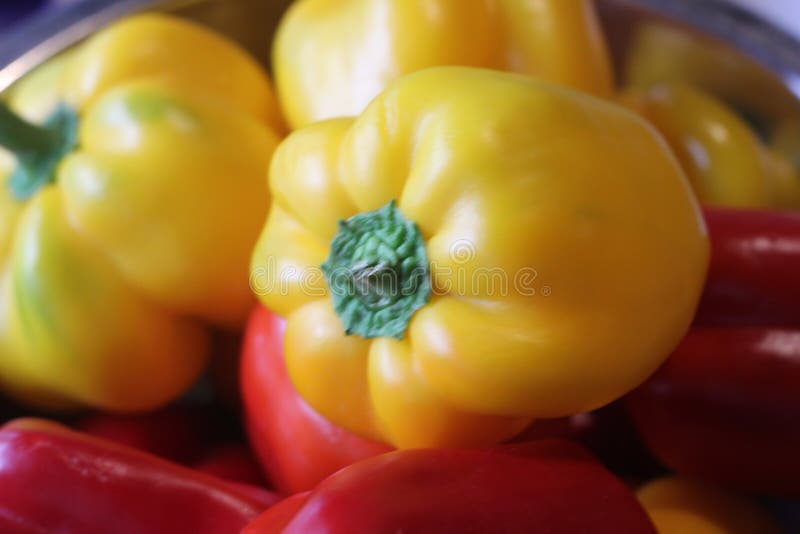 Red & Yellow Capsicum. stock image. Image of bell - 179375509