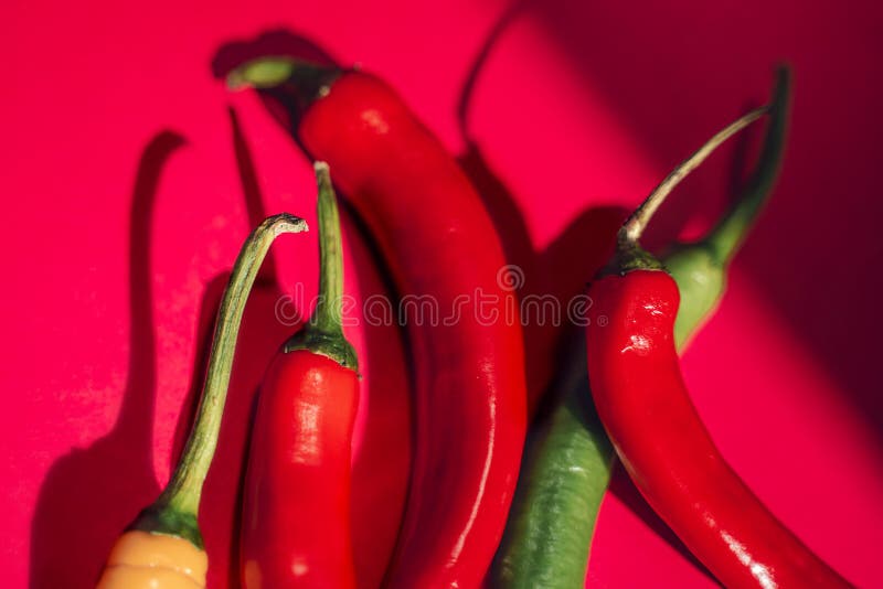 Red and Yellow Chilli in the Light with Color Paper Stock Image - Image ...