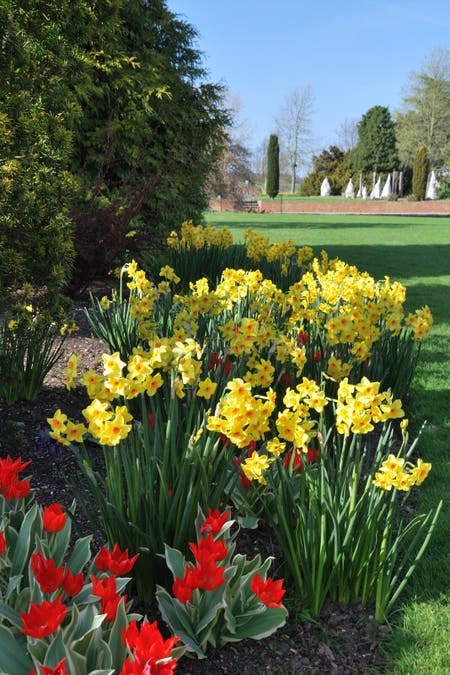 Red and Yellow Flower Borders Stock Image - Image of colour, green ...