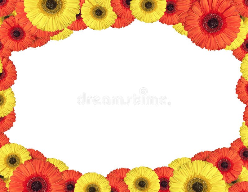 Red Gerbera Daisy Flowers Border. Stock Image - Image of frame, nature ...