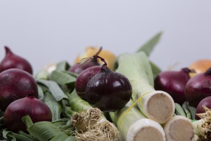 Red Yellow Green and Any Other Kind of Onion Stock Image - Image of ...