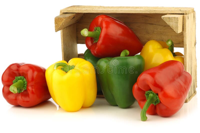 Red,yellow and Green Bell Peppers (capsicum) Stock Photo - Image of ...