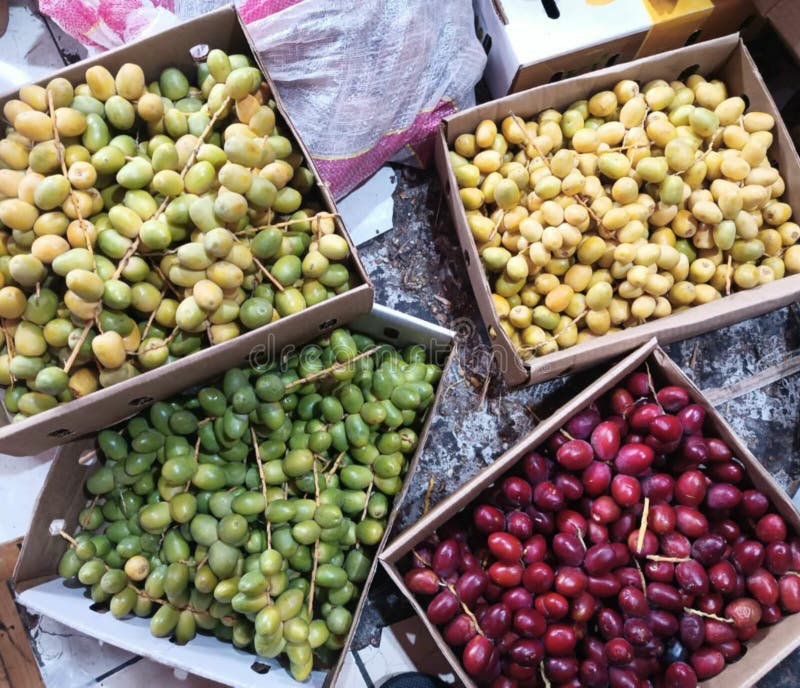 Red Yellow Green Dates are in the Box Stock Image - Image of green ...