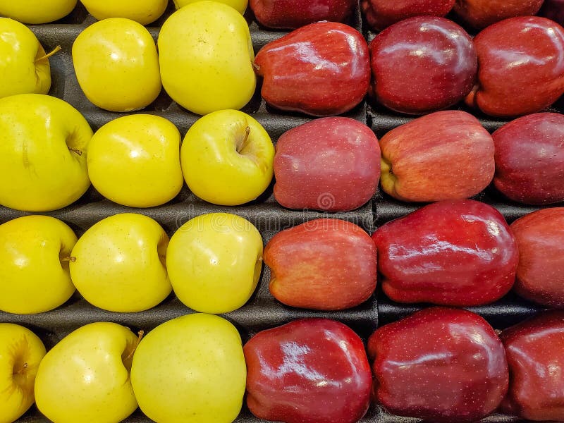 Red and Yellow Michigan Apples Stock Image - Image of food, nutritious ...