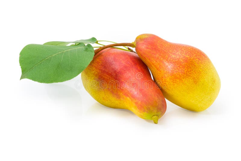 Red with Yellow Pears with Leaves on a White Background Stock Image ...