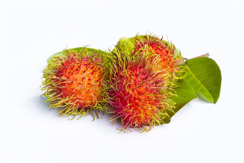 Red and Yellow Rambutan Fruit and Its Leaves Stock Image - Image of ...