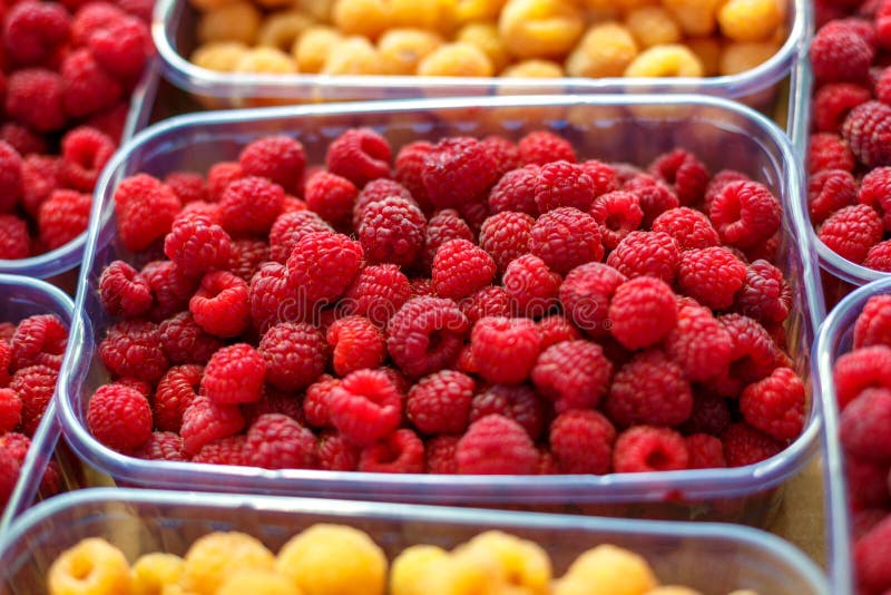 Red and Yellow Raspberries in Boxes, Healthy Food Concept Stock Image ...
