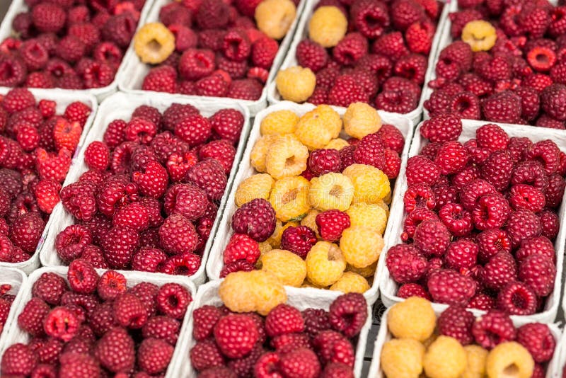 Raspberries at a Local Market for Sale Stock Image - Image of fresh ...