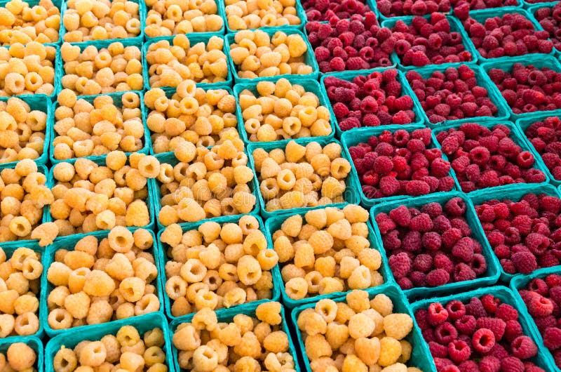 Red and Yellow Raspberries in Boxes Stock Image - Image of farmers ...