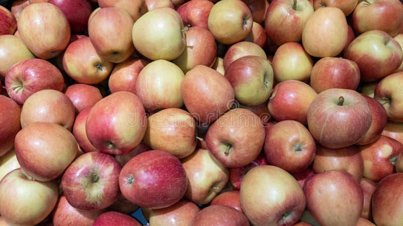 Red Yellow Ripe Apples As Fresh Apple Round Background Stock Image ...