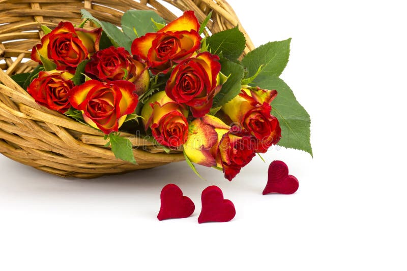 Red and Yellow Roses in a Basket Stock Photo - Image of passion, leaf ...