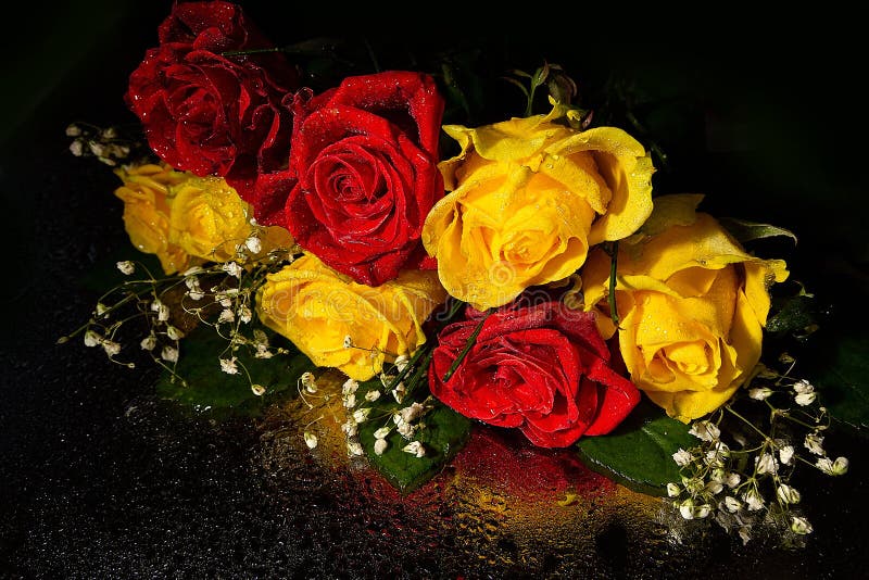 Red and Yellow Roses on a Black Mirror Surface Stock Image - Image of ...