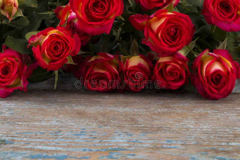 Red and Yellow Roses on Wooden Background, Copy Space Stock Image ...