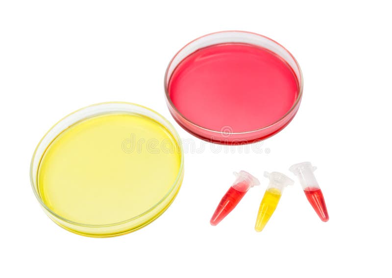 Red and Yellow Solution in Plate and Tube Stock Photo - Image of ...