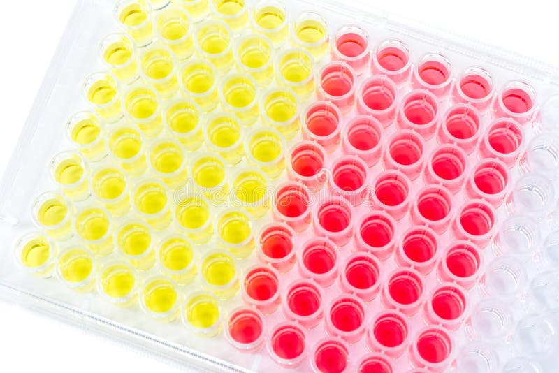 Red and Yellow Solution in 96 Wells Plate Stock Photo - Image of ...