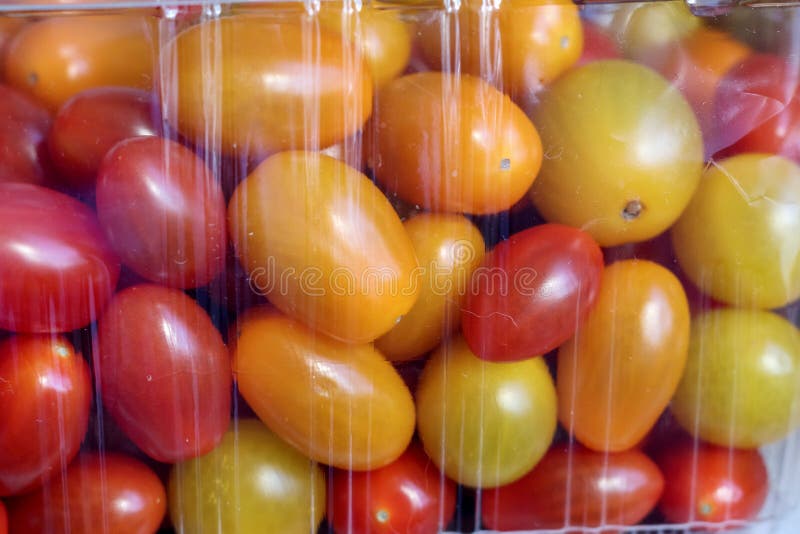 .red and Yellow Tomato Balls Behind Film Packaging Stock Photo - Image ...