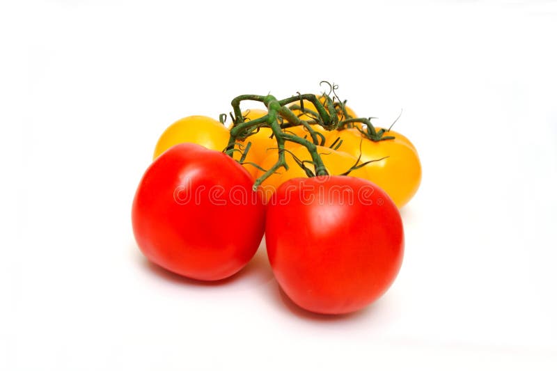 Red and Yellow Tomatoes stock image. Image of food, tellow - 11264655