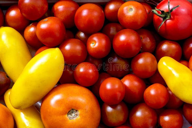 Red and Yellow Tomatoes As Backgrounds Stock Image - Image of orange ...