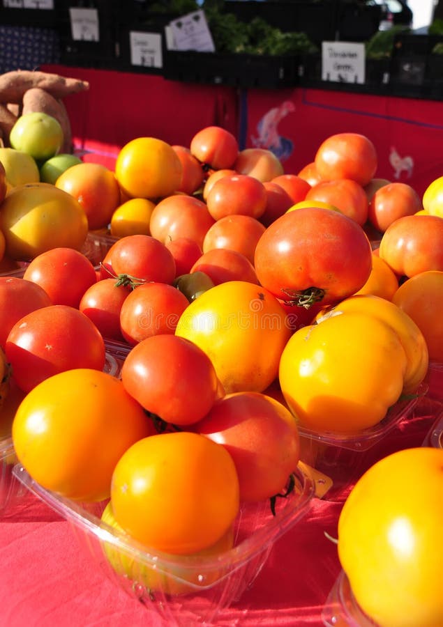 Red and Yellow Tomatoes at the Farmers Market Stock Photo - Image of ...