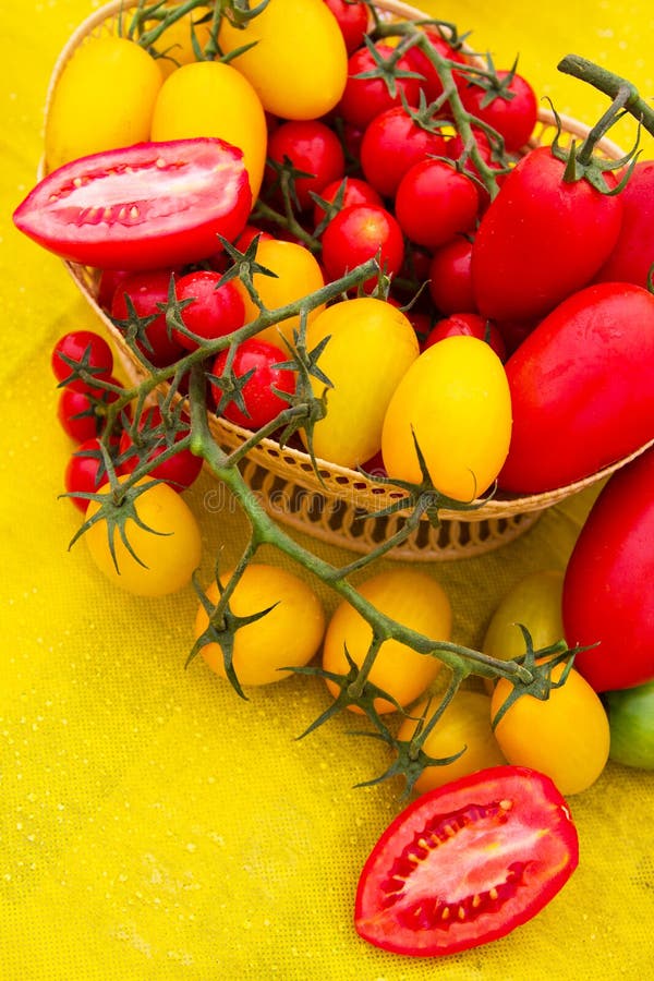 Red and yellow tomatoes stock image. Image of vegetables - 41102469