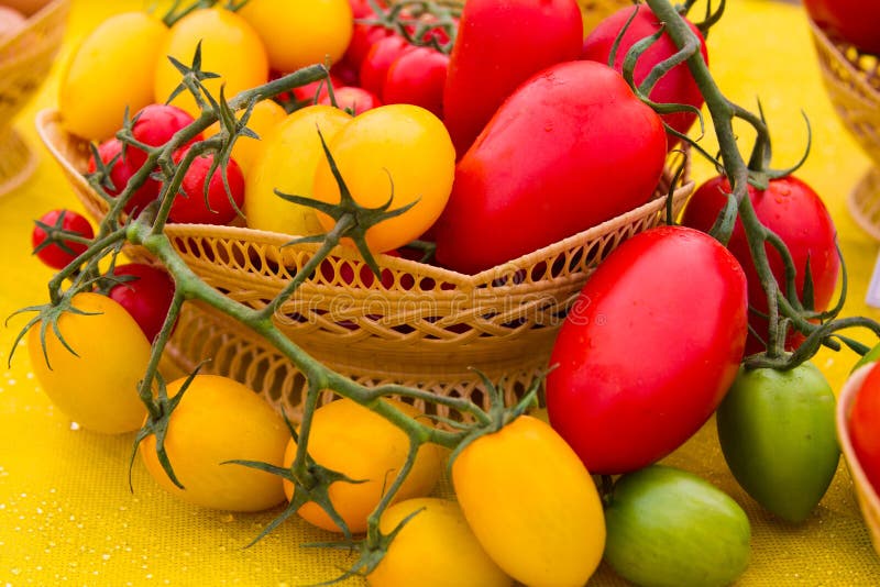 Red and yellow tomatoes stock photo. Image of clipping - 41261088