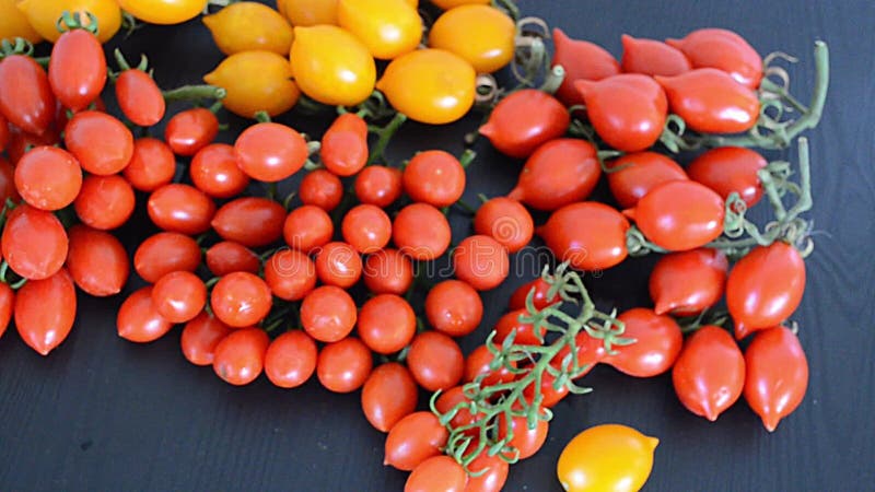 Red and Yellow Tomatoes on the Table. Mix of Different Varieties Stock ...