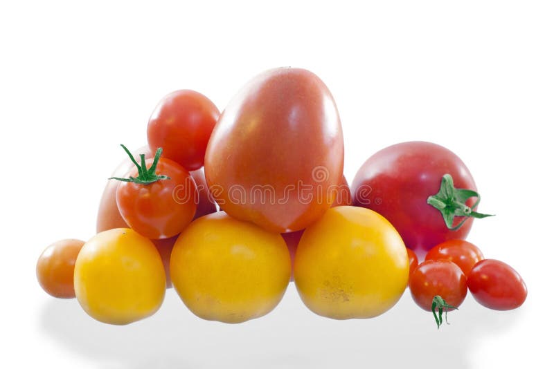 Red an Yellow Tomatoes on White Stock Image - Image of tomato, group ...