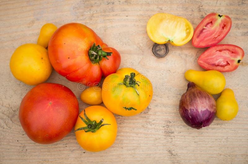 Red and yellow tomatoes stock photo. Image of health - 33075134