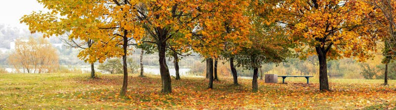 Red and Yellow Trees in Autumn by the River Stock Image - Image of ...