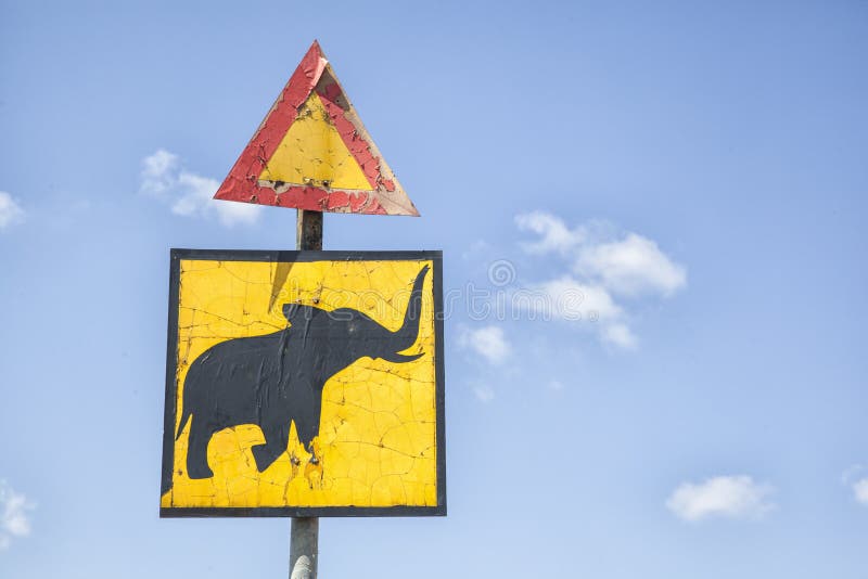 Elephant Warning Sign in Zimbabwe Stock Photo - Image of endangered ...