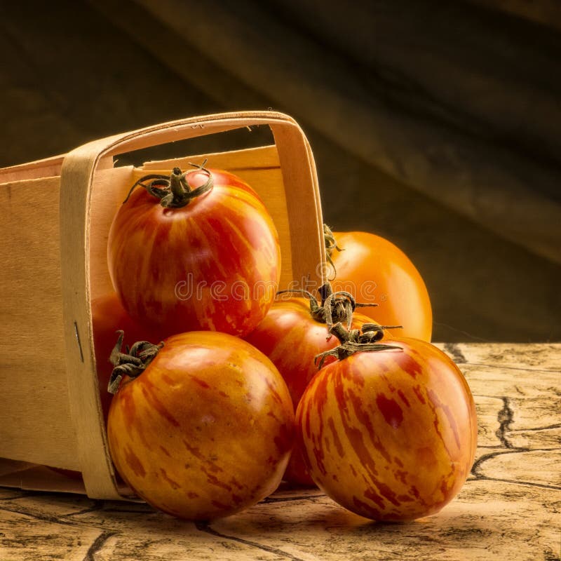 Red zebra tomatoes stock photo. Image of fruit, food - 76214106