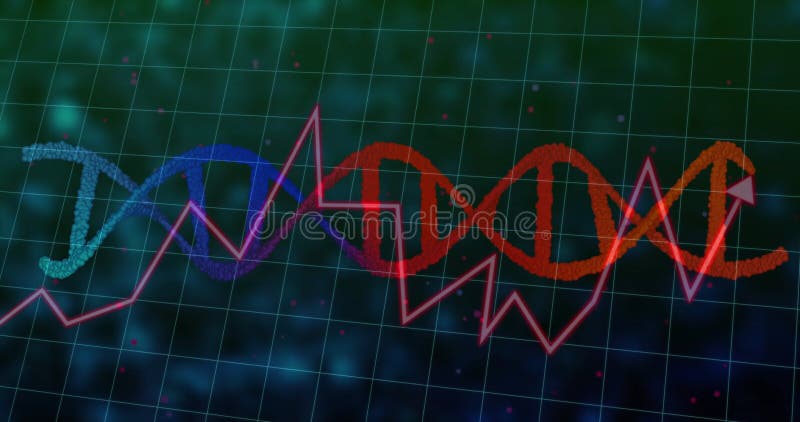 Red Zigzag Line Graph Fluctuating Across Grid, Overlaid with DNA Helix ...