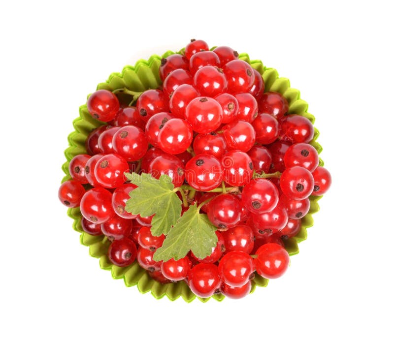 Redcurrant stock photo. Image of dessert, snack, healthy - 25335446