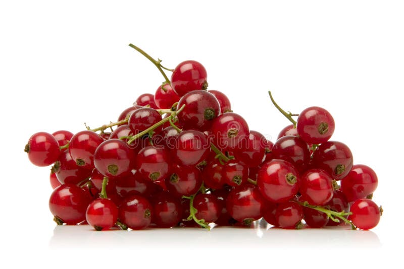 Redcurrant stock photo. Image of ripe, delicious, fresh - 2598638