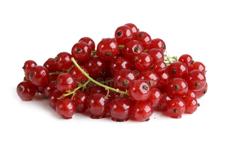 Redcurrant stock photo. Image of isolated, grocery, diet - 2605968