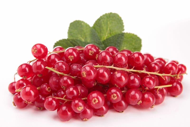 Redcurrant stock photo. Image of berries, fruits, food - 16632492