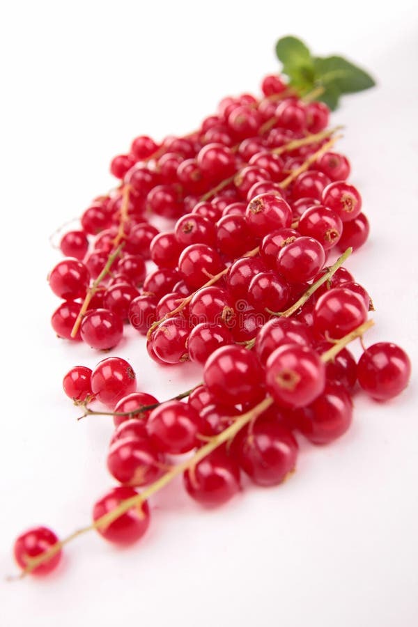 Redcurrant stock photo. Image of berry, fruit, healthy - 29011154