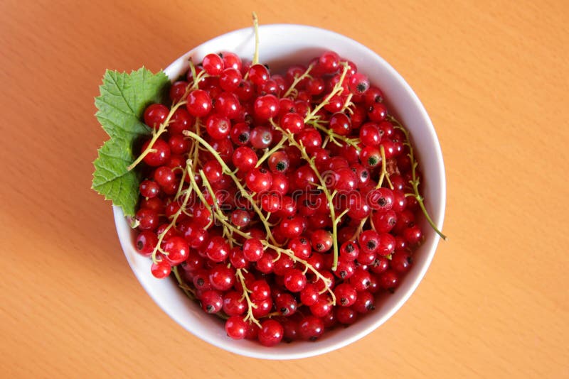 Redcurrant stock image. Image of redcurrant, natural, bowl - 5691829