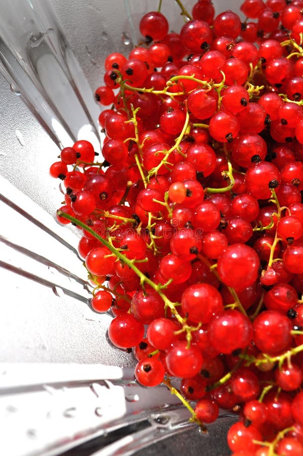 Texture De Groseilles Rouges Photo stock - Image du moisson, fruit ...
