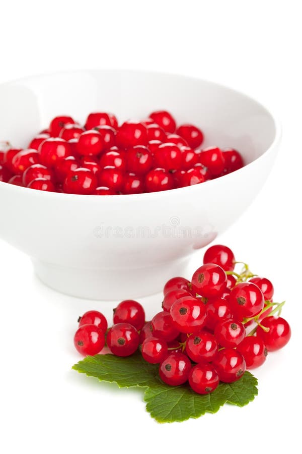 Redcurrants stock image. Image of redcurrant, stalk, fruit - 32180515