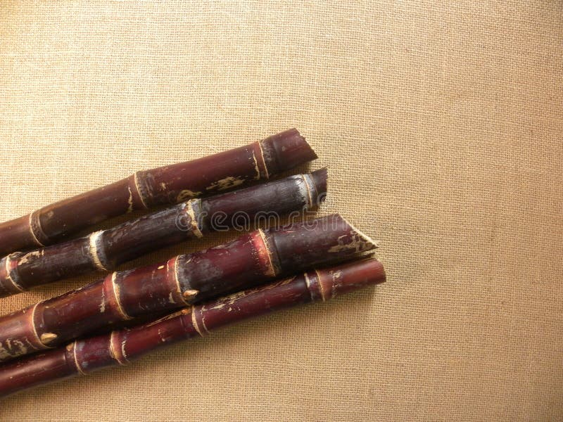 Sugarcane stems stock image. Image of herb, cooking - 169513681