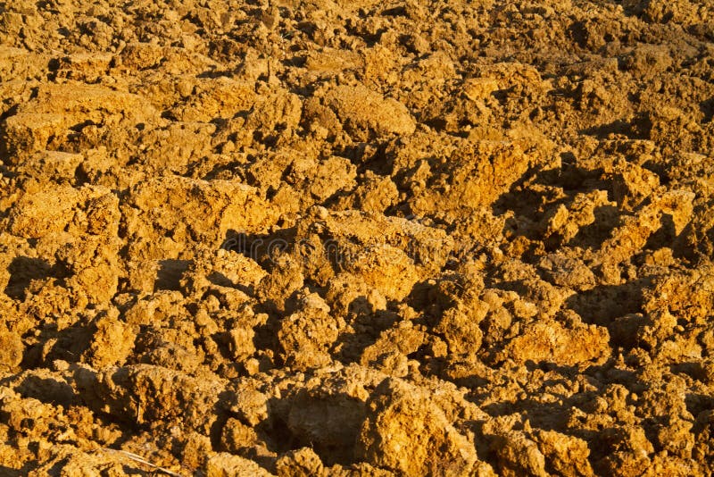 Reddish brown soil stock photo. Image of rossa, agricultural - 258887272